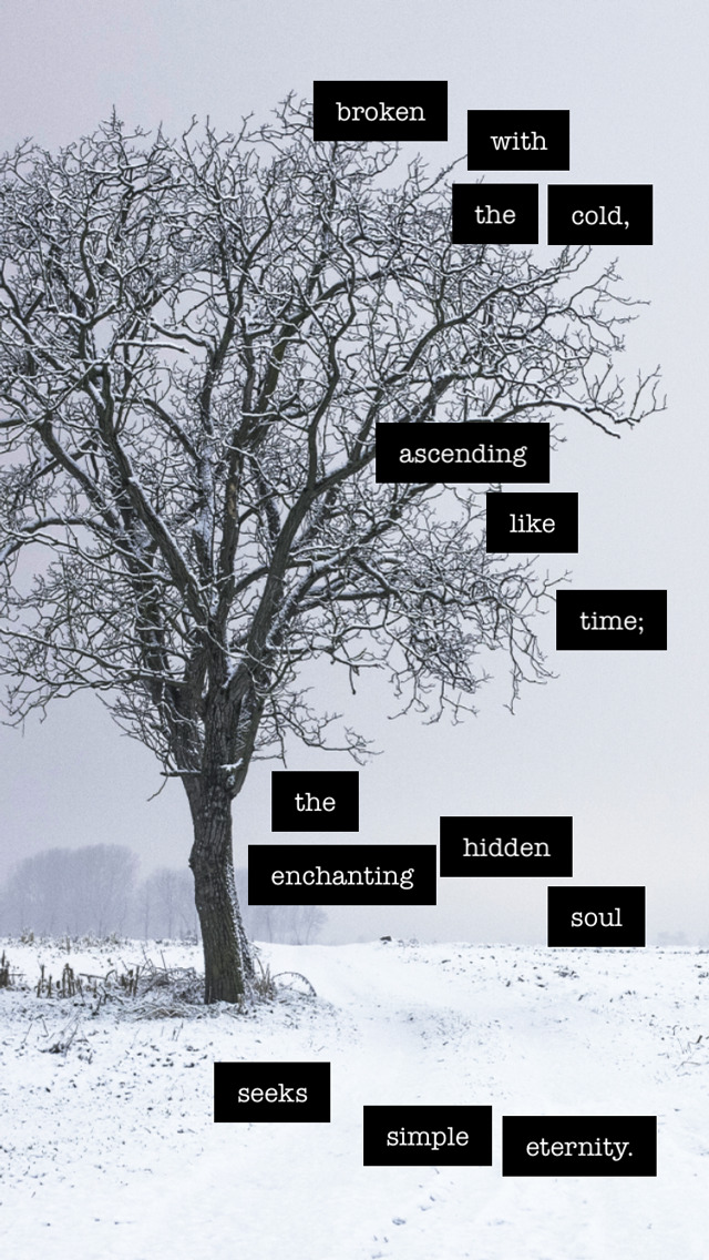 Instant Poetry 2: una aplicación que ayuda a desarrollar tu alma de ...